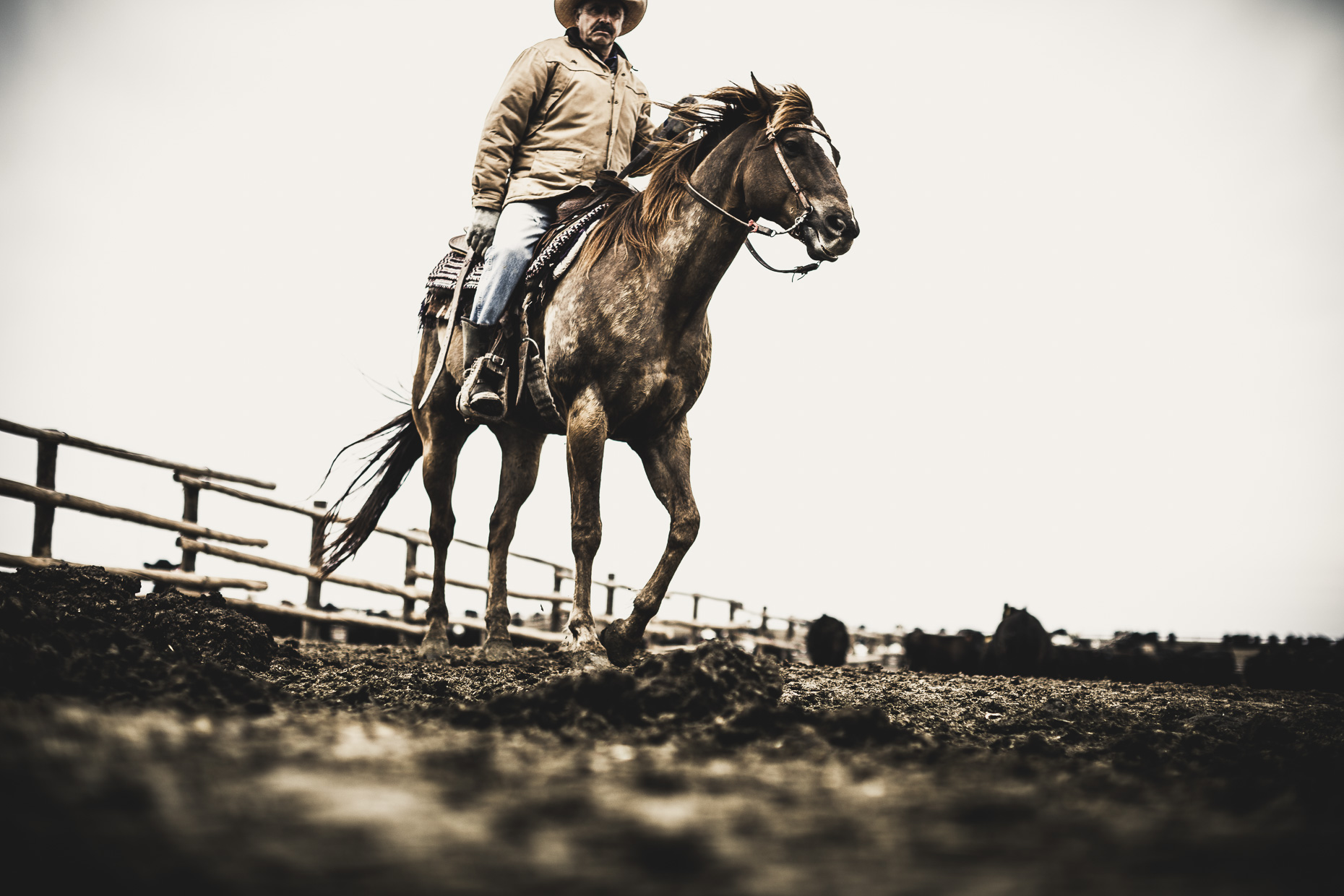 Nate Luke - Photographer + Director